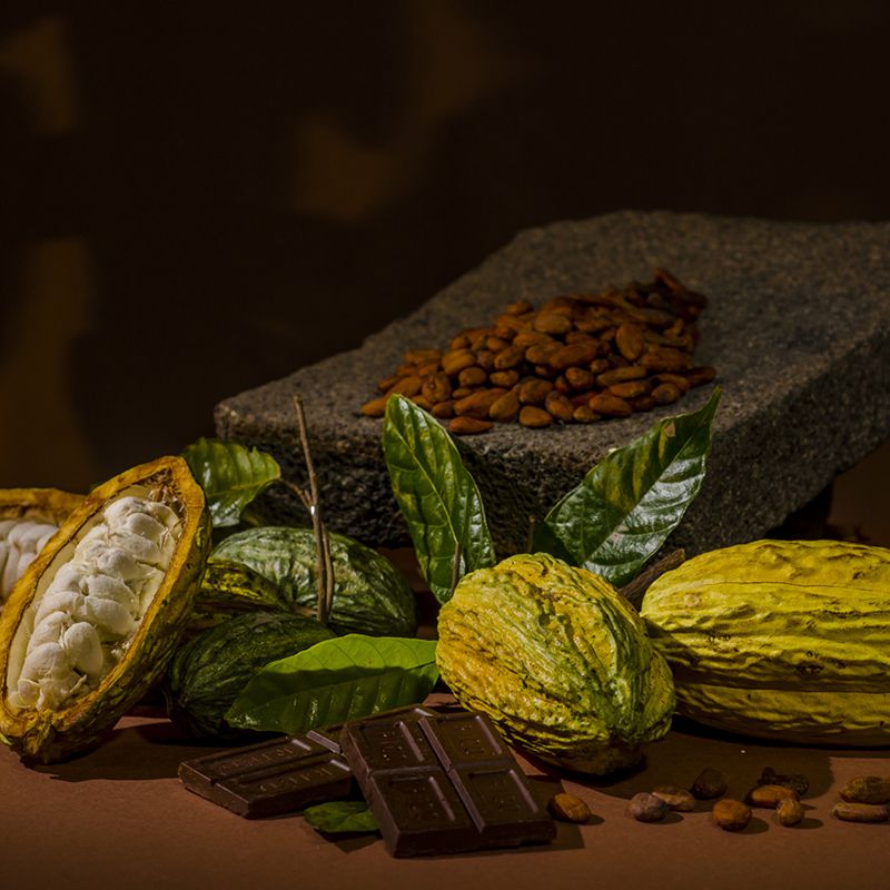 Olam Food Ingredients reaches targets for 100% child labor and ...