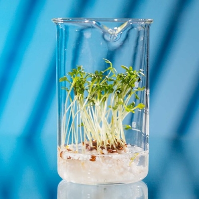 Weekly Roundup: Solvay Ventures invests in Dynamic Metabolic Control ...