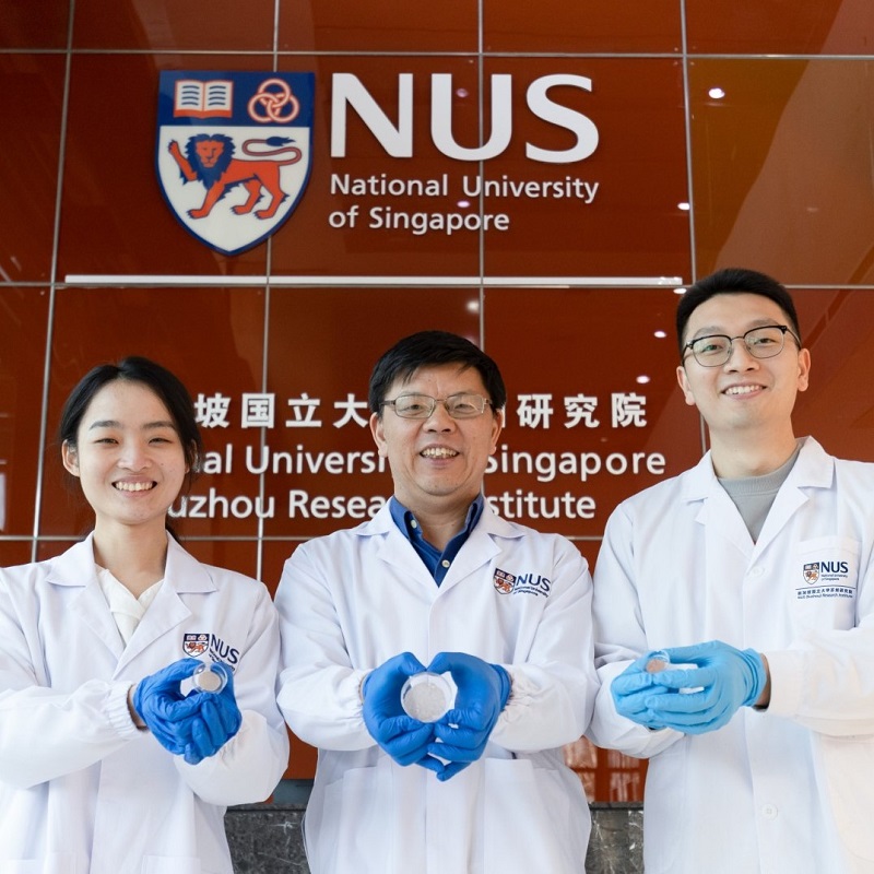 Singapore scientists create cell-based scaffolding for cheaper ...