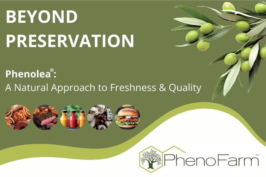 Beyond Preservation — Phenolea®: A Natural Approach to Freshness & Quality