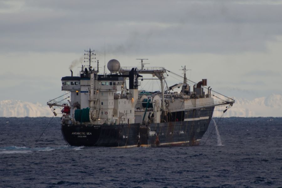 British Antarctic Survey warns krill trawling regulations fall short ...