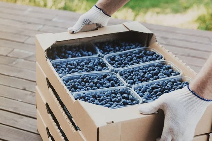 Stora Enso partners with Matrix Pack to develop formed fiber packaging