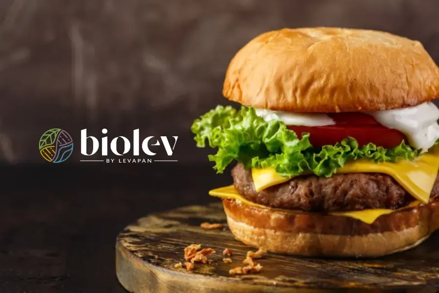 Beyond Flavor: How Yeast-Based Ingredients redefine texture and ...